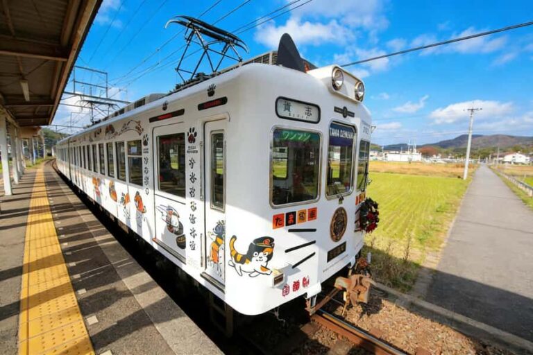 A Classic One-Day Tour from Kansai to Wakayama Prefecture - What to Expect from the Tour
