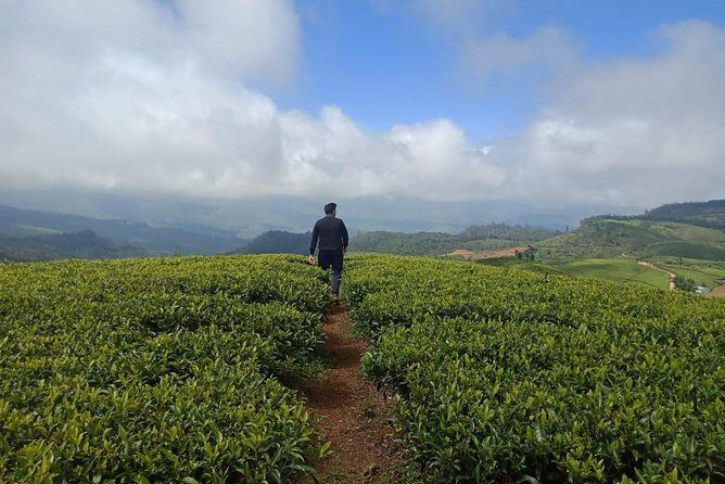A Day in Nuwara Eliya: Sights & Local Delights - Authentic Experiences and Highlights