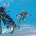 A Day in Paradise All In One Punta Cana Experience - Analyzing the Value: Is it Worth It?