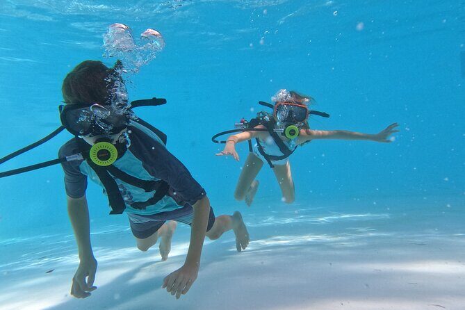 A Day in Paradise All In One Punta Cana Experience - Analyzing the Value: Is it Worth It?