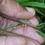 A Day of Relaxation in the Jungle and Waterfalls of Dominica - Final Thoughts: Who Will Love This Tour?