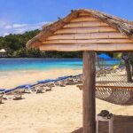 A Day Over Young Island - What Makes This Tour Stand Out?