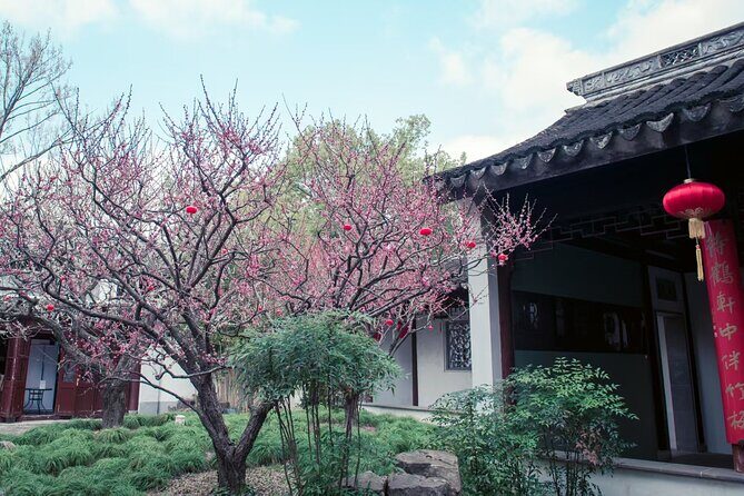 A Deep Dive into Nanxiang Xiaolongbao Culture - The Culinary Ritual: Savoring the Buns