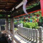 A Fun Car Tour to Inuyama Castle and a Phallus - Authentic Experiences and Practical Details