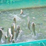 A Genuine 4-Day Journey Cycling the Mekong Delta - Day 2: Sunrise in Tra Vinh and Cycling to Can Tho