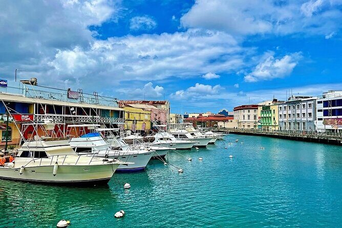 A Good Bajan Day - Bestselling Barbados Highlights Tour - Transportation and Group Size