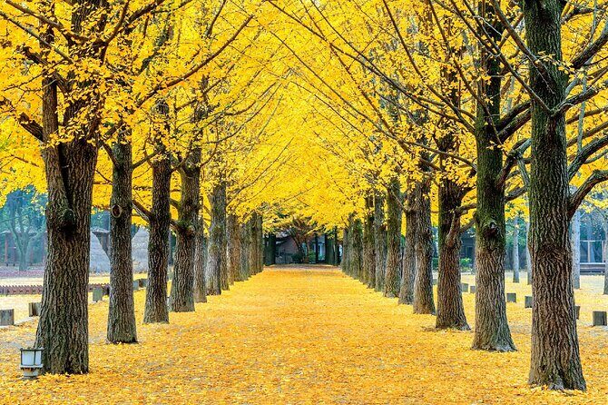 A Journey Through Time and Taste Seoul Experience - Day 3: Modern Seoul in Gangnam and Trendy Streets