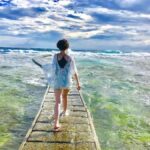 A leisurely two-day journey from Hualien to Taitung - The Charm of Mr. Brown Avenue and Rice Cultivation