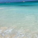 A Magical Day on Saona Island - Authentic Experiences and Traveler Insights