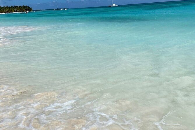 A Magical Day on Saona Island - Authentic Experiences and Traveler Insights