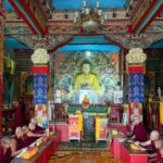 A Peaceful Day Trip from Coimbatore to A Hidden Tibetan Gem - What Makes This Tour Special?