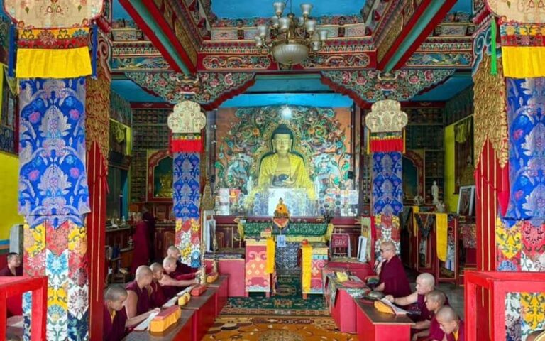 A Peaceful Day Trip from Coimbatore to A Hidden Tibetan Gem - What Makes This Tour Special?