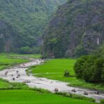 A Perfect Day Explore Ninh Binh with Small Group of 11 - Tam Coc: Biking, Boating, and Rural Charm