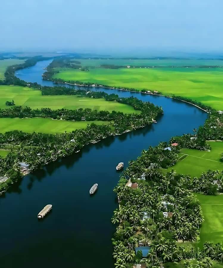 A Private day Tour Through Alleppey, Marari, and Fort Kochi - What Makes This Tour Stand Out?