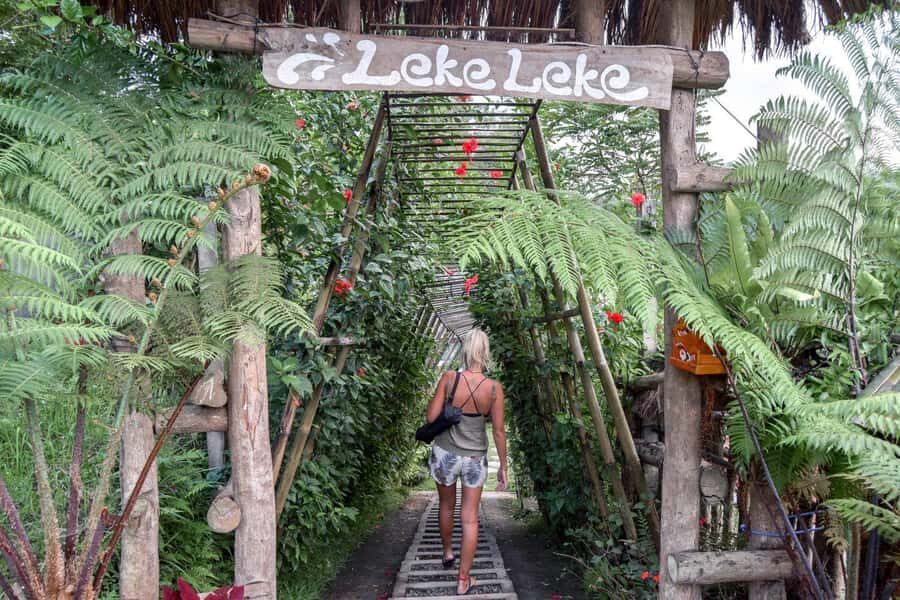 A Private Day Tour To Explore North Part of Bali - What to Expect From the Tour