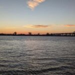 A Walking History Tour of Miss River in New Orleans - Why This Tour Offers Value