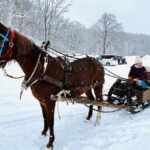 Abashiri: Horse-Drawn Sleigh Ride & Making Local Cuisine - What to Expect: A Step-by-Step Overview