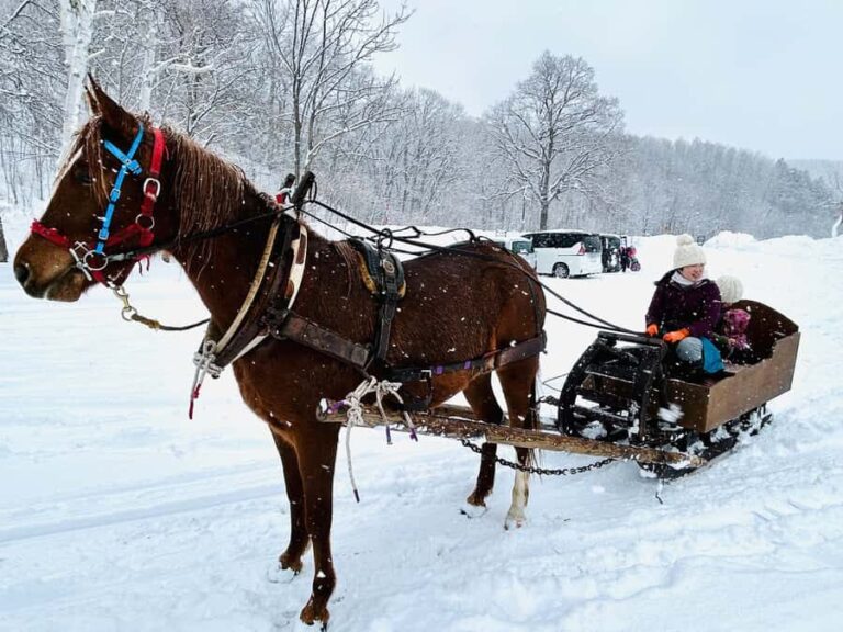 Abashiri: Horse-Drawn Sleigh Ride & Making Local Cuisine - What to Expect: A Step-by-Step Overview
