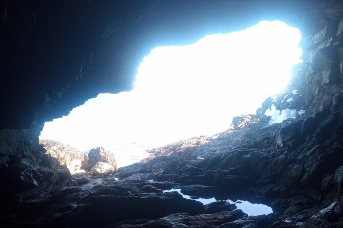 Acadia National Park Winter Wonderland Private Driving Tour - What Makes This Tour Stand Out?