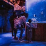 Acuario Sealand Guadalajara Admission Ticket - Themed Areas and Exhibits