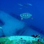 Advanced Wreck Diving at USNS General Hoyt S. Vandenberg - Why This Tour Offers Great Value