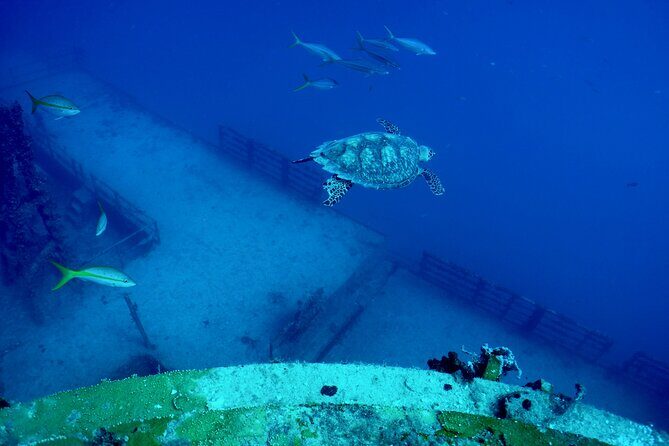 Advanced Wreck Diving at USNS General Hoyt S. Vandenberg - Why This Tour Offers Great Value