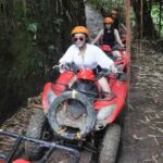 Adventure Bali: ATV Trails, Waterfalls & Jungle Caves - Why This Tour Works Well