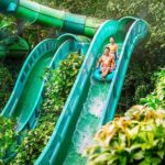 Adventure Cove Waterpark Tickets - The Sum Up: Is Adventure Cove Waterpark Worth It?