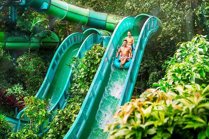 Adventure Cove Waterpark Tickets - The Sum Up: Is Adventure Cove Waterpark Worth It?