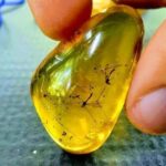 Adventure from Miches: Los Haitises, Caño Hondo, and Yanigua - A Traditional Dominican Lunch with a View