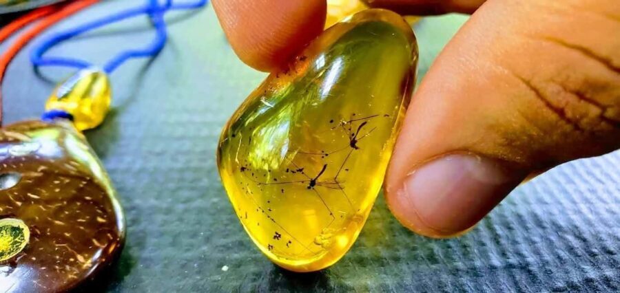 Adventure from Miches: Los Haitises, Caño Hondo, and Yanigua - A Traditional Dominican Lunch with a View