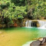 Adventure from Samaná: Los Haitises, Caño Hondo, and Yanigua - The Dominican Lunch and Local Flavors