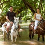 Adventure in the bay of samana and waterfall El limon from punta cana - The Experience in Detail