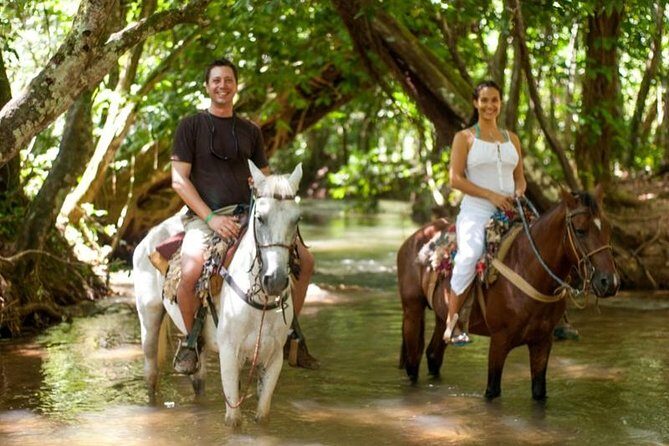 Adventure in the bay of samana and waterfall El limon from punta cana - The Experience in Detail