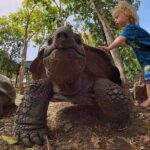 Adventure Power Boat Tour Antigua and Private Laviscount Island - Analyzing the Value: Price, Duration, and Experience