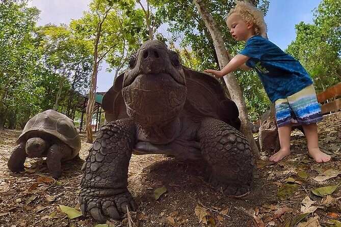 Adventure Power Boat Tour Antigua and Private Laviscount Island - Analyzing the Value: Price, Duration, and Experience