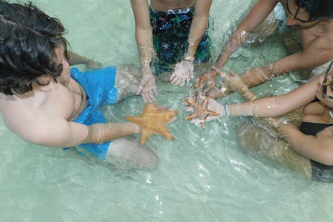 Adventure Stingray City, Snorkeling the Reef and Star Fish Point - The Experience: What Travelers Are Saying