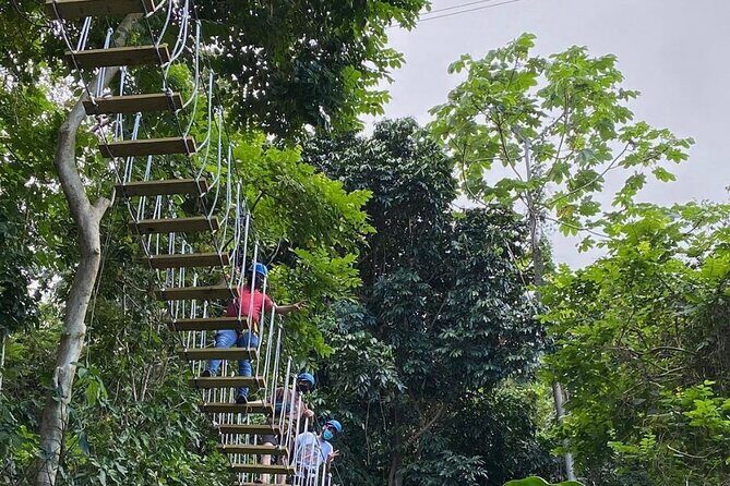 Adventure Trail Tour in the foothills of the National Rainforest - What Travelers Say