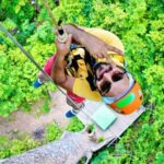 Adventure Zipline - Koh Samui Shore Excursion - The Sum Up: Is This Adventure Right for You?