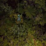 Adventurous Zipline Tour in Coromandel - What to Expect on the Coromandel Zipline Tour
