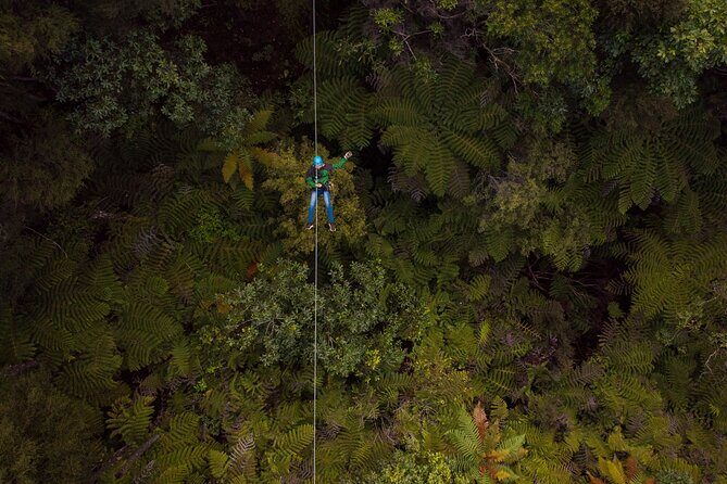 Adventurous Zipline Tour in Coromandel - What to Expect on the Coromandel Zipline Tour