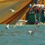 Affordable Langkawi Group Tour - SkyCab, Sky Bridge & Highlights - Detailing the Itinerary: What to Expect at Each Stop