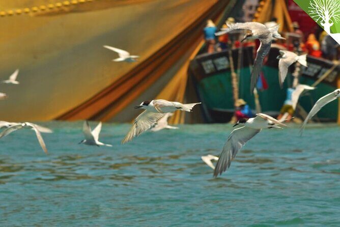 Affordable Langkawi Group Tour - SkyCab, Sky Bridge & Highlights - Detailing the Itinerary: What to Expect at Each Stop