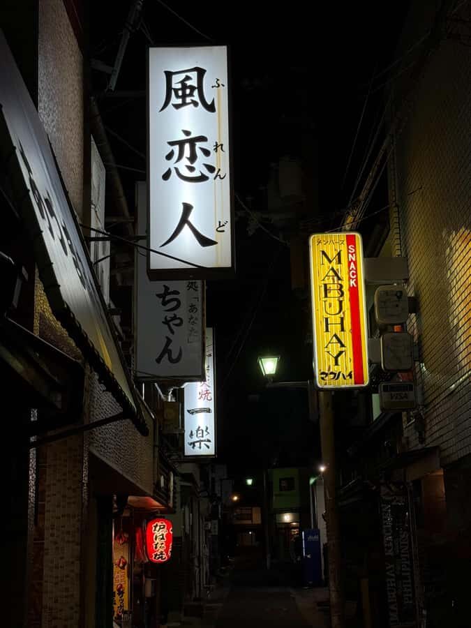 After Dark in Nara: Hidden Bars & Nightwalks with the Locals - The Allure of Naras Nightlife