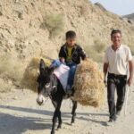 Agalyk Horseback Ride from Samarkand with Local Instructors - Meeting Your Guides and Horses
