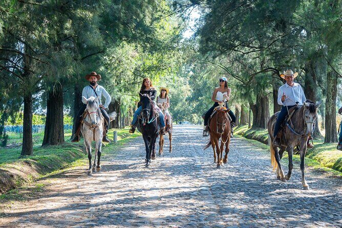 Agaves and Tequila Horseback Ride in El Arenal Jalisco - Why This Tour Is Worth Considering