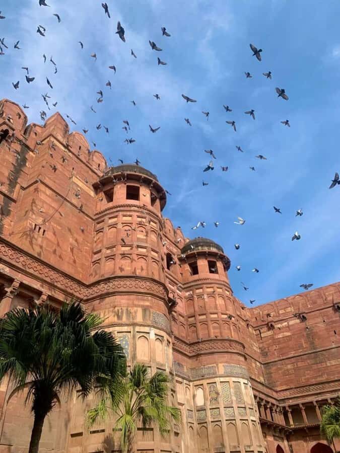 Agra Fort: A Guided Walking Tour of UNESCO World Heritage - Who Would Love This Tour?