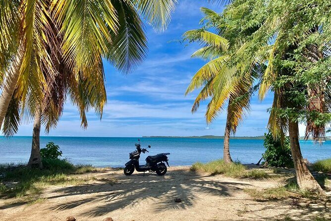 Aguadilla Speed Scooter Self Guided Rental - Final Thoughts: Is It Worth It?