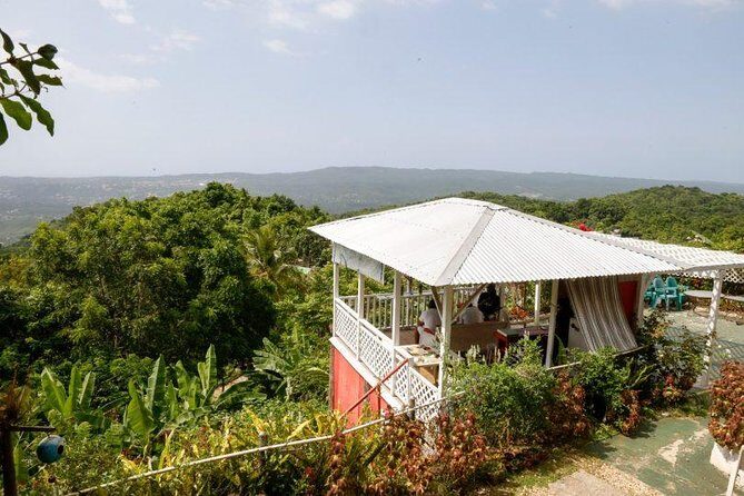 Ahhh Ras Natango Gallery and Garden Private Tour &Transportation - Why This Tour Stands Out