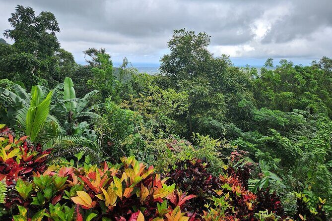 Ahhh Rasnatango Gallery and Garden - Authentic Insights from Visitors